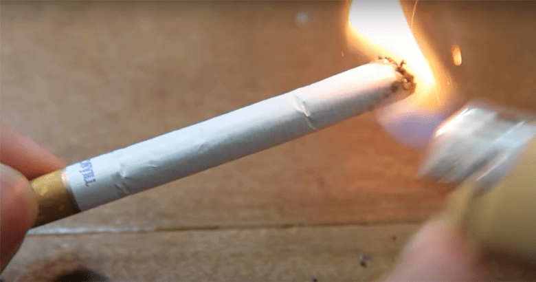 Top 10 Best Cigarette Filters [2022 Review] - SmokeProfy