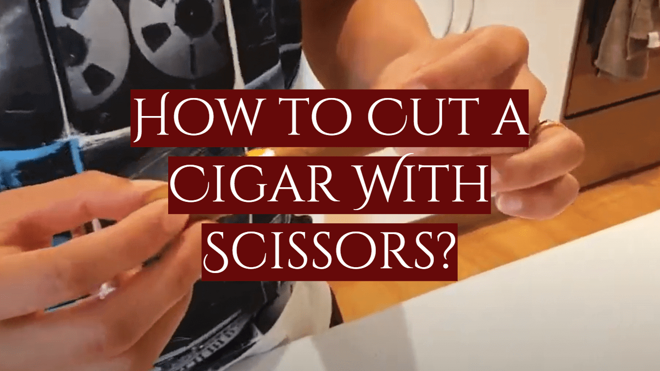How To Cut A Cigar With Scissors SmokeProfy How To Cut A Cigar With Scissors SmokeProfy